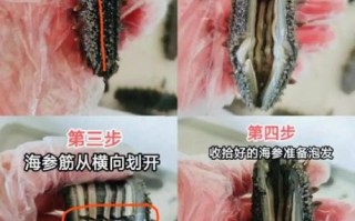 半干海参怎么泡发_半干海参清洗方法