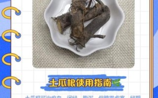 土瓜根的功效与作用_土瓜根怎么使用