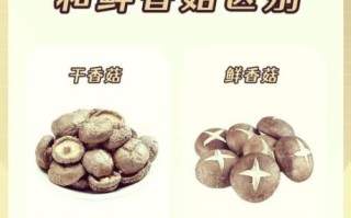 香菇怎么挑选_新鲜香菇和干香菇区别