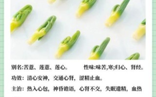 莲子有什么功效与作用_莲子怎么吃最养人