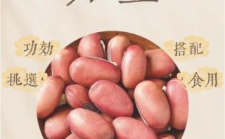 刀豆有几种种类_刀豆品种图片怎么区分