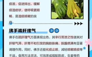 佛手的功效与作用及副作用_佛手吃多了会怎样