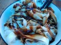 跳跳鱼吃什么食物_跳跳鱼能喂蔬菜吗