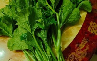 南瓜藤怎么剥皮_南瓜藤剥皮技巧