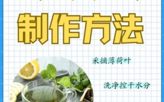 薄荷茶怎么泡_自制薄荷茶的做法