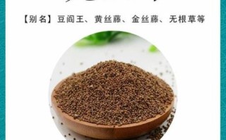 菟丝子怎么吃_菟丝子功效与作用禁忌