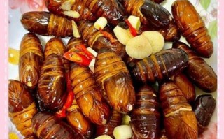 干煸蚕蛹怎么做好吃_干煸蚕蛹的做法步骤