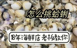 蛤蜊肉怎么清洗干净_蛤蜊肉去沙技巧