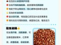 花生吃多了有什么坏处_花生过量副作用