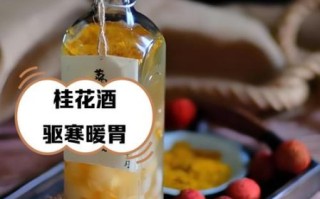 桂花酿的功效与作用_桂花酿适合什么人喝