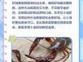 小龙虾虾线怎么去除_去虾线最简单的方法