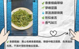 安徽三大名茶有哪些_黄山毛峰太平猴魁祁门红茶区别