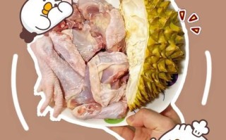 榴莲煲鸡汤的做法_榴莲煲鸡汤的功效与作用窍门