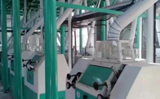 粉条机器设备多少钱一台_粉条机器设备哪家好