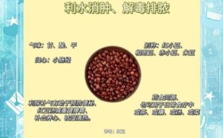 红小豆怎么吃_红小豆的功效与作用