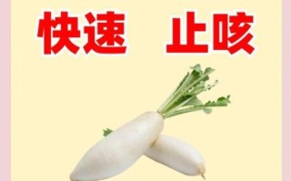 白萝卜止咳化痰偏方_白萝卜怎么吃止咳效果最好