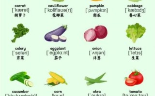 白菜英语怎么说_白菜英语例句