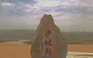 蒜蓉扇贝怎么做_蒜蓉扇贝蒸几分钟