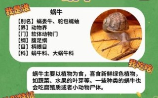 蜗牛是益虫还是害虫_如何区分