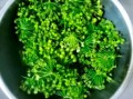 韭菜花怎么腌制不发黄_韭菜花腌制不变色技巧