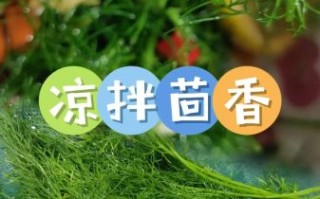茴香菜怎么吃比较好_茴香菜的做法大全