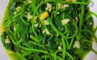 番薯叶的营养价值_番薯叶怎么炒好吃