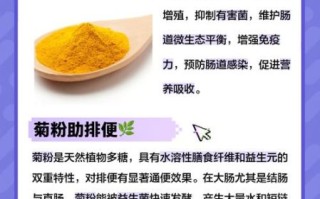 菊芋粉的功效与作用_菊芋粉怎么吃效果最好