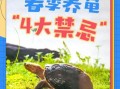 为什么养龟毁一生_养龟后悔了吗