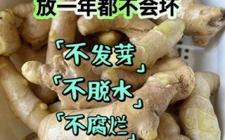 生姜怎么保存_生姜可以放多久
