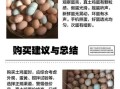 土鸡蛋图片大全_如何辨别真假土鸡蛋