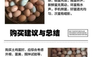 土鸡蛋图片大全_如何辨别真假土鸡蛋