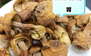 女性吃松茸有什么好处_女人吃松茸的功效与作用