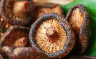 香菇脆热量高吗_香菇脆怎么做才脆