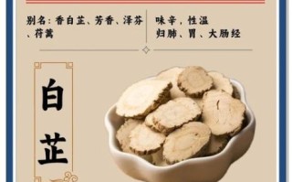 白芷不适宜人群有哪些_白芷禁忌人群