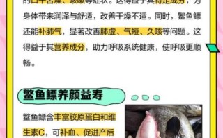 鳘鱼鳔怎么泡发_鳘鱼鳔煲汤做法