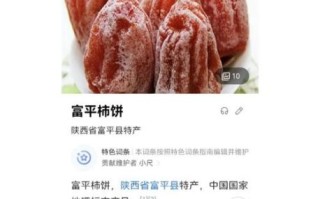 陕西富平柿饼哪个牌子好_富平柿饼十大名牌排名
