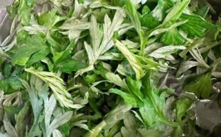 清明团子怎么做_青团不塌馅不裂的窍门