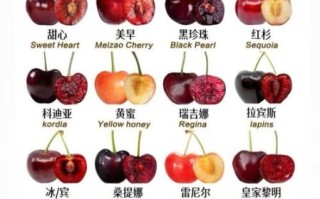 车厘子哪个品种最好吃_十大车厘子品种排行