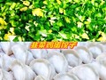 韭菜鸡蛋饺子怎么做_韭菜鸡蛋饺子馅怎么调