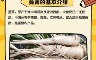 蔓菁又叫土人参_土人参的功效与作用