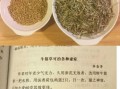 牛筋草煮鸡蛋吃有什么好处_牛筋草鸡蛋的功效与作用