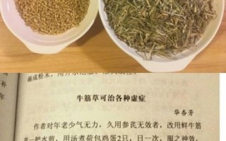 牛筋草煮鸡蛋吃有什么好处_牛筋草鸡蛋的功效与作用
