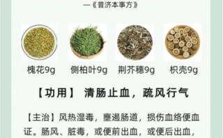槐花散治疗痔疮效果好吗_槐花散怎么用