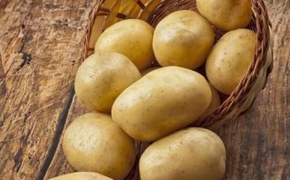 生土豆汁真的能治癌吗_生土豆汁骗局揭秘