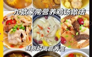 鸡肉怎么炖不柴又鲜_炖鸡鲜嫩秘诀