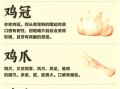 脚滑鸡是什么鸡_脚滑鸡和普通鸡的区别