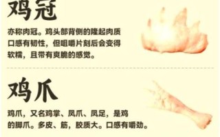 脚滑鸡是什么鸡_脚滑鸡和普通鸡的区别