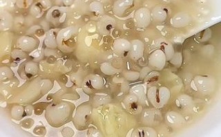 薏仁炖汤大全_薏仁炖汤的做法和功效