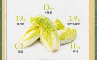 娃娃菜和大白菜是一个品种吗_娃娃菜与大白菜区别