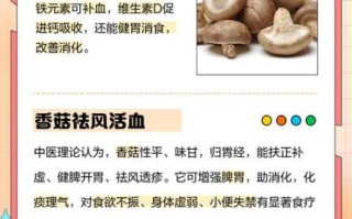 香菇汤的功效_香菇汤有哪些好处